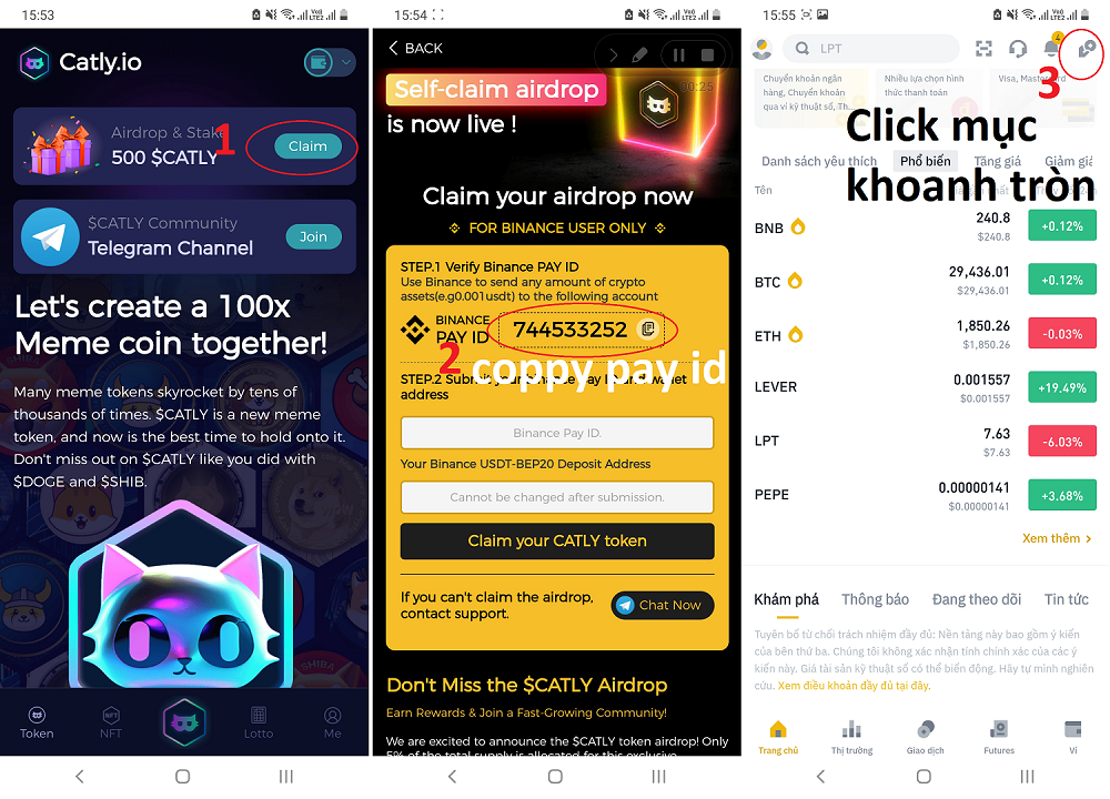 Catly.io aidrop miễn phí 500 CATLY coin khai thác đào coin hàng ngày ...