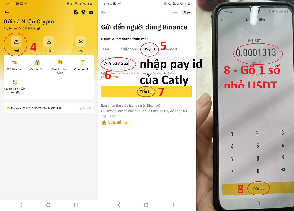 Catly.io aidrop miễn phí 500 CATLY coin khai thác đào coin hàng ngày ...