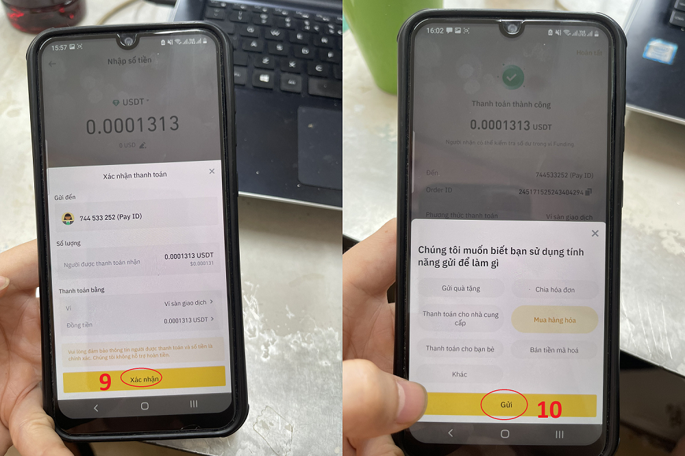 Catly.io aidrop miễn phí 500 CATLY coin khai thác đào coin hàng ngày ...
